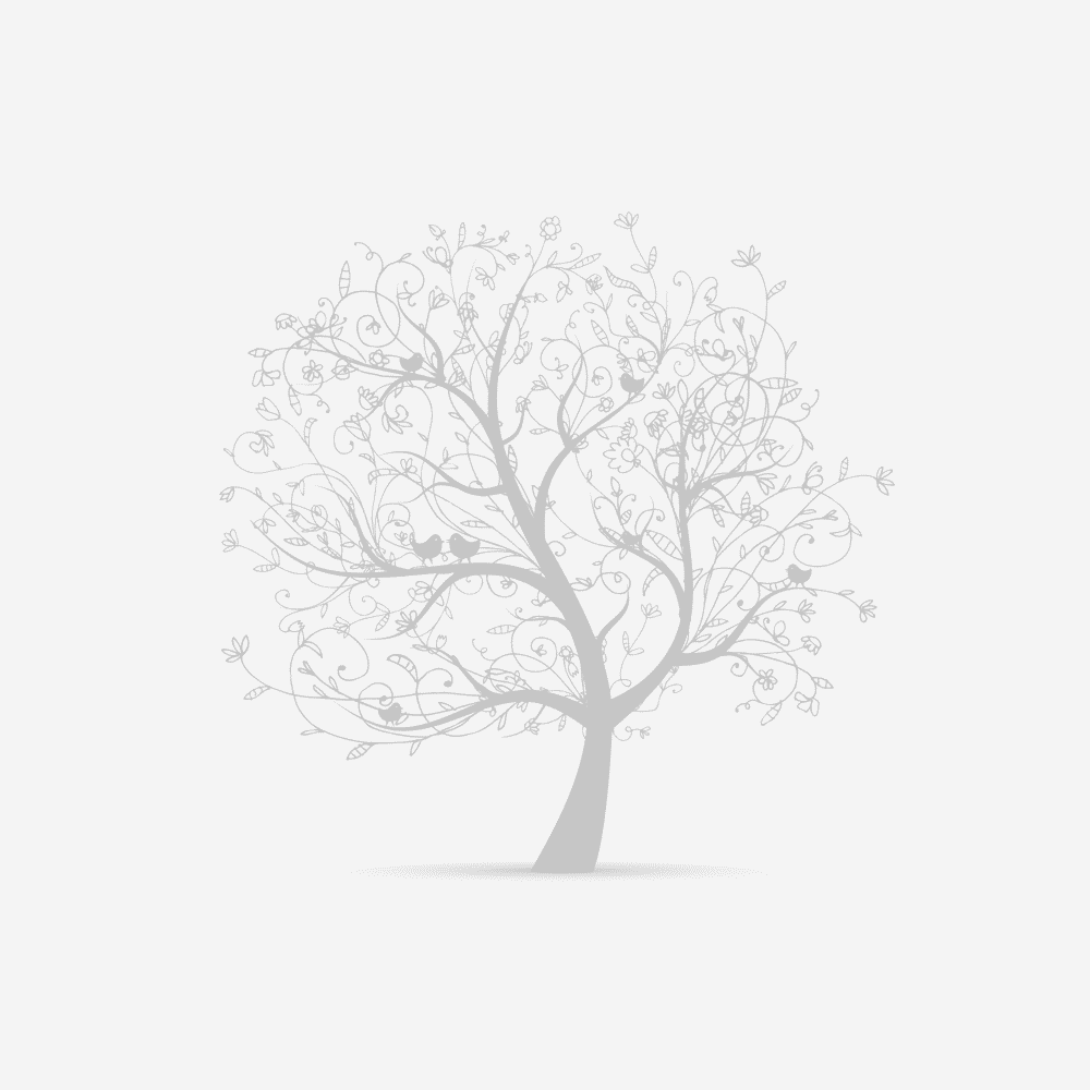 The Metaphor of the Friend Tree | Mr Dodd